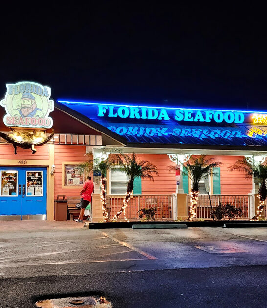 florida corn fritters delicious ftr