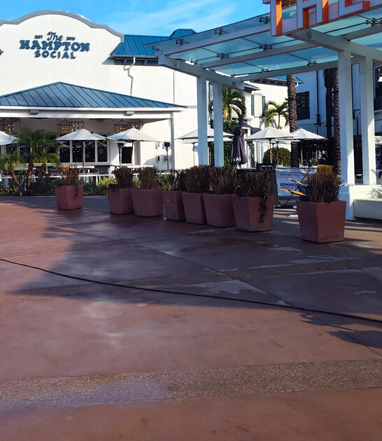 florida crab shrimp bruschettas ftr