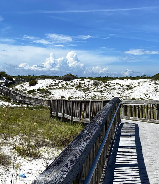 florida dreamy perfect park ftr