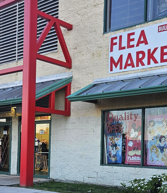 florida enormous indoor market ftr