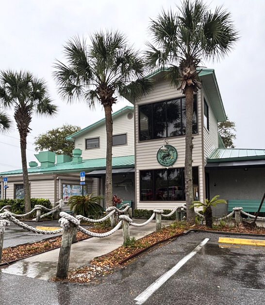 florida fish sandwich dream ftr