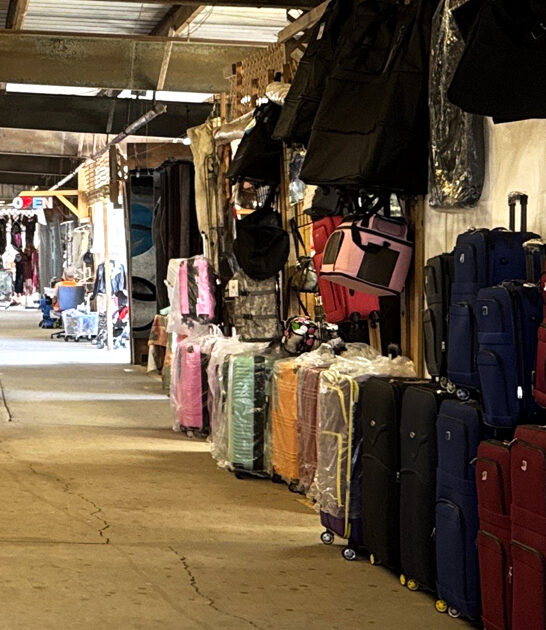 florida flea bargains cheap ftr