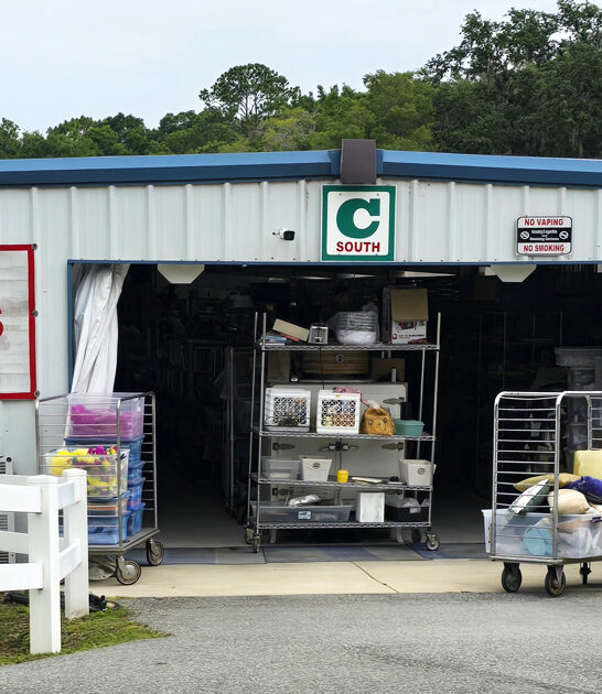 florida flea market food ftr