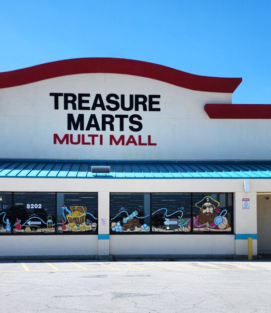 florida flea market gem ftr