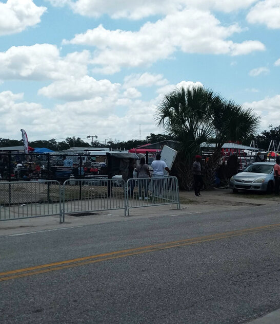 florida flea market haul ftr