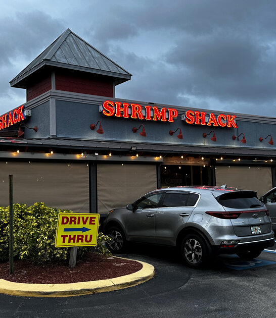 florida fried dough delight ftr