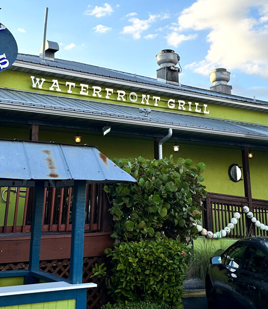 florida fried shrimp delicious ftr