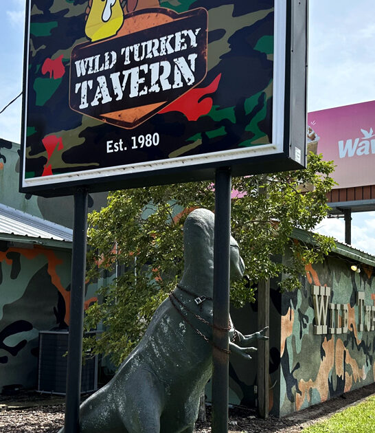 florida funky steak tavern ftr