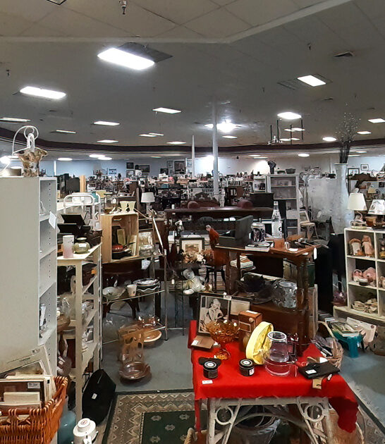 florida gems collectibles store ftr