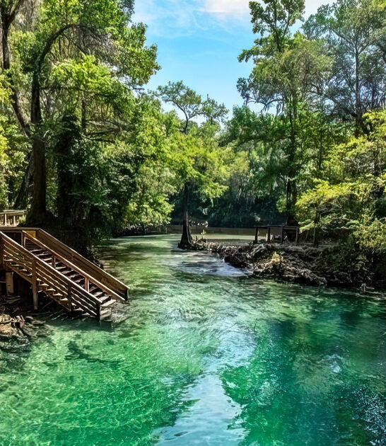 florida gorgeous spring getaways ftr