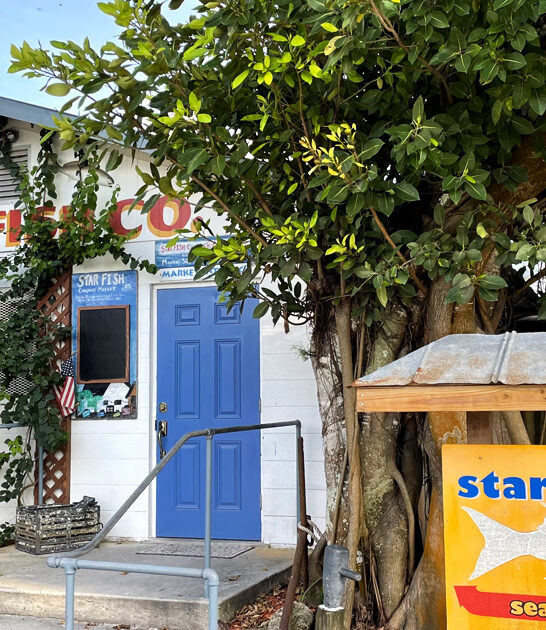 florida grouper tacos delicious ftr