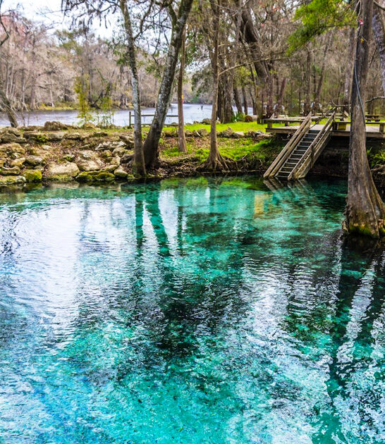florida hidden dreamy springs ftr