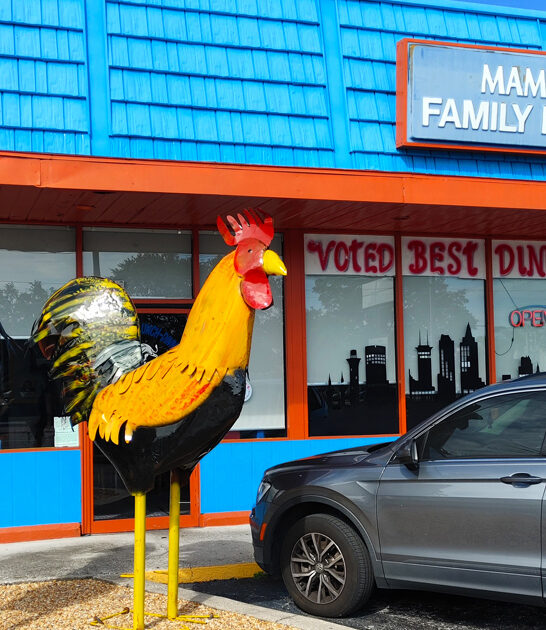 florida homemade breakfast diners ftr