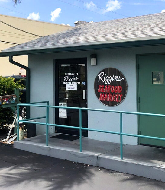 florida hush puppies succulent ftr