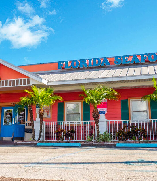 florida irresistible corn fritters ftr