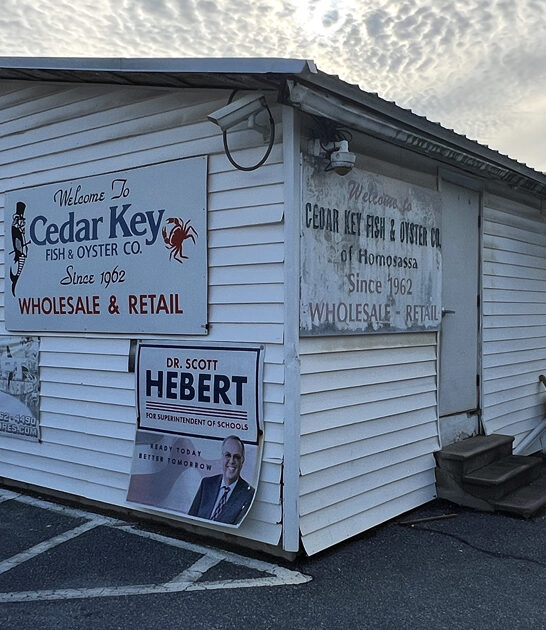 florida known steamed shrimp ftr