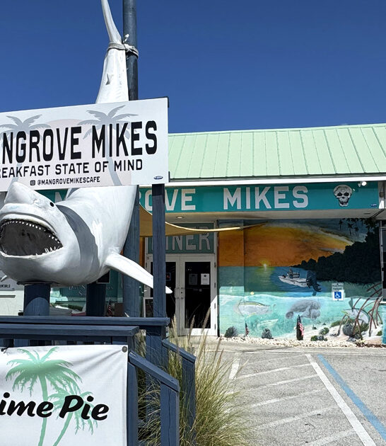 florida legendary appeteizing diner ftr