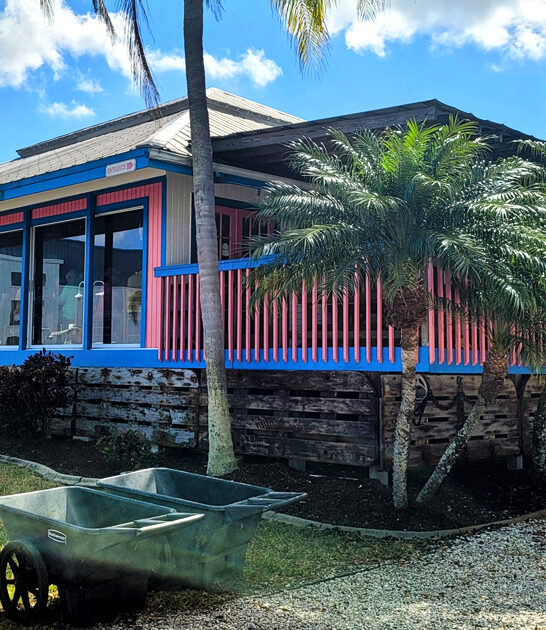 florida legendary seafood oysters ftr
