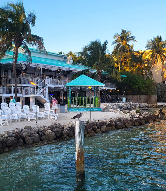 florida lime pie treasure ftr