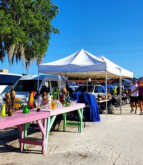 florida market bargains deals ftr