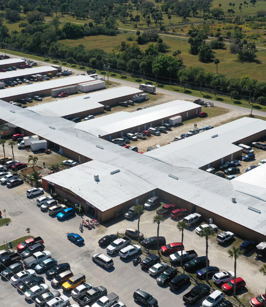 florida market gigantic flea ftr