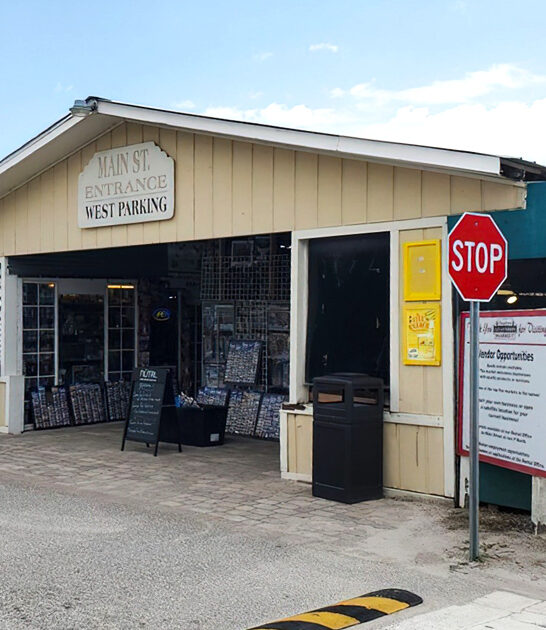 florida market massive flea ftr
