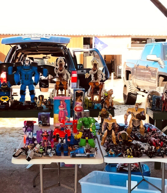 florida massive flea paradise ftr