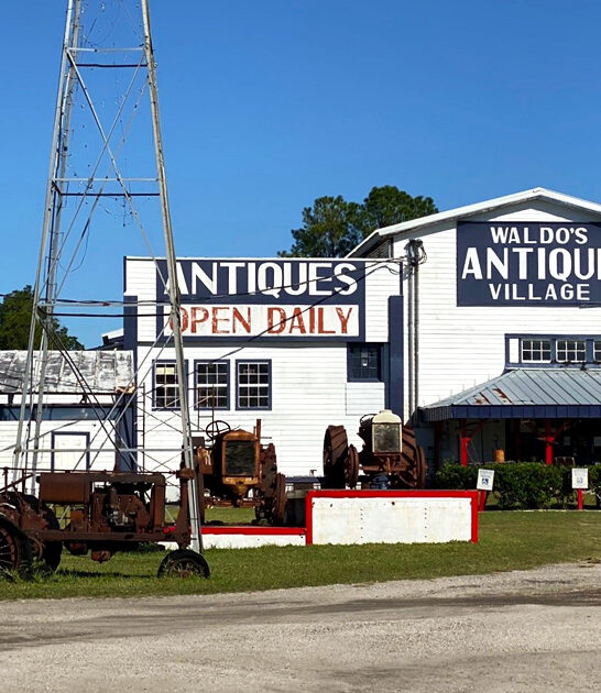 florida massive market flea ftr