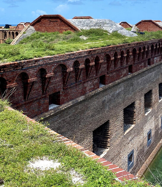 florida national park painting ftr