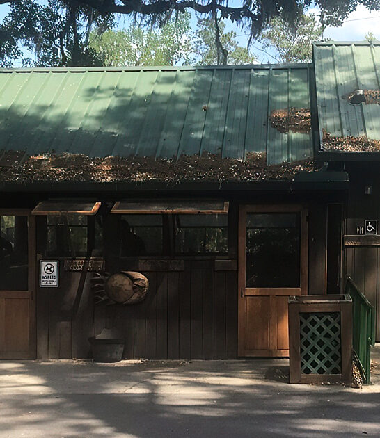 florida outrageously good brisket ftr