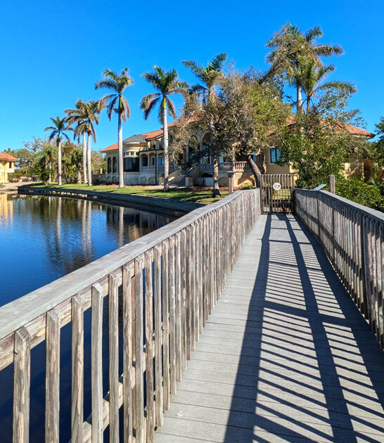 florida postcard worthy garden ftr