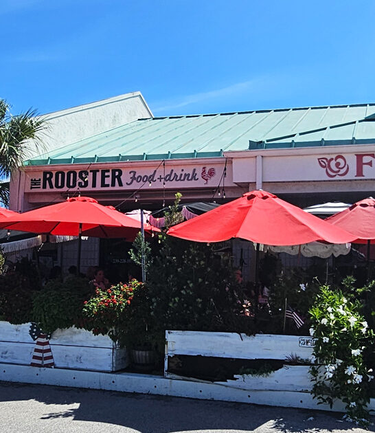 florida restaurant avocado toast ftr