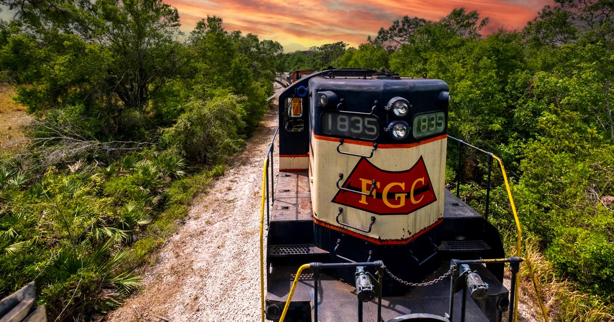 6 Incredibly Scenic Train Rides In Florida That Most People Don't Know ...