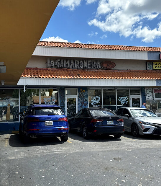 florida seafood fish sandwich ftr