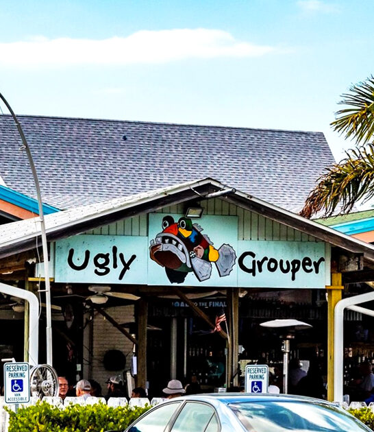 florida seafood good restaurant ftr