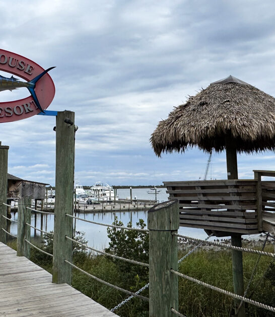 florida seafood restaurant dreams ftr