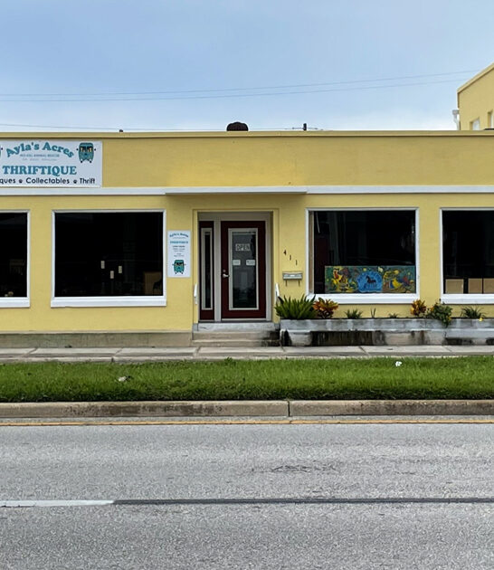 florida secondhand amazing shop ftr