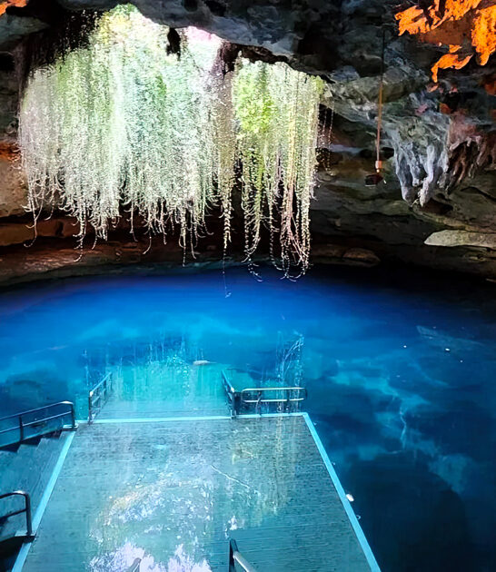 florida secret springs gems ftr