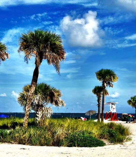 florida serene gorgeous beach ftr
