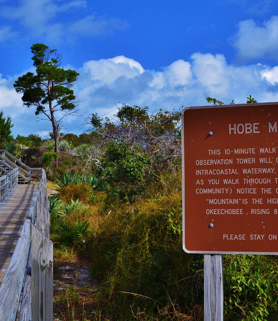 florida state park gorgeous ftr