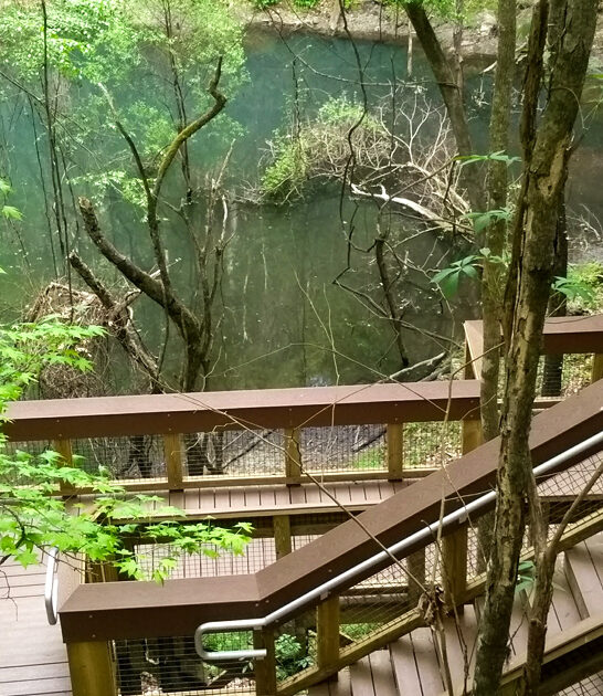 florida state park otherworldly ftr