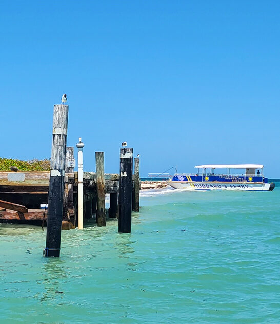 florida state park scenic ftr
