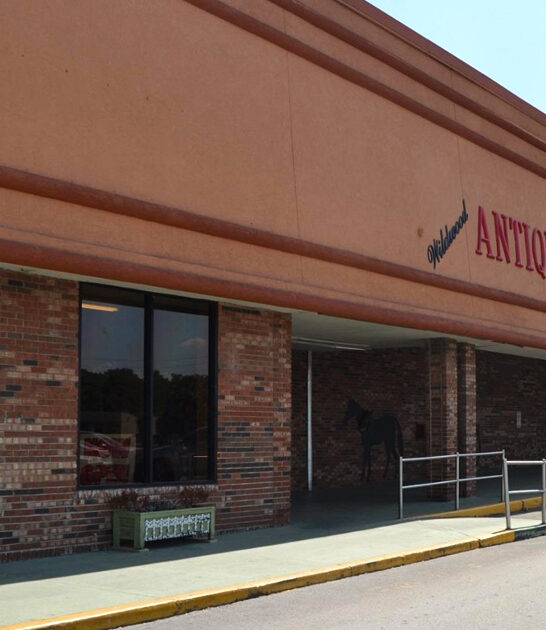 florida store rare antique ftr