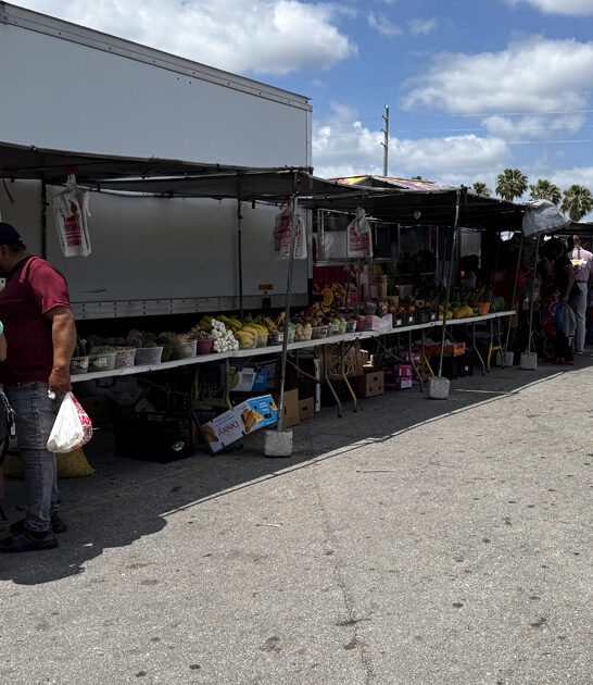 florida swap meet inviting ftr