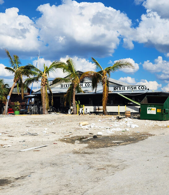 florida tastiest coconut shrimp ftr