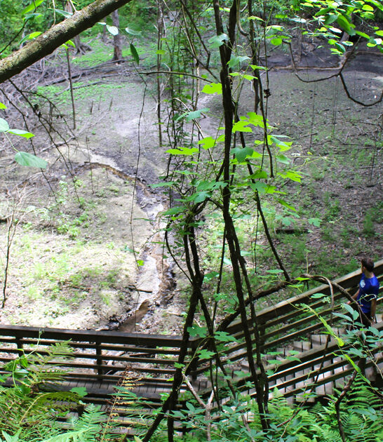 florida trail lovers paradise ftr