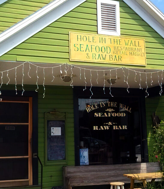 florida unassuming grouper gems ftr