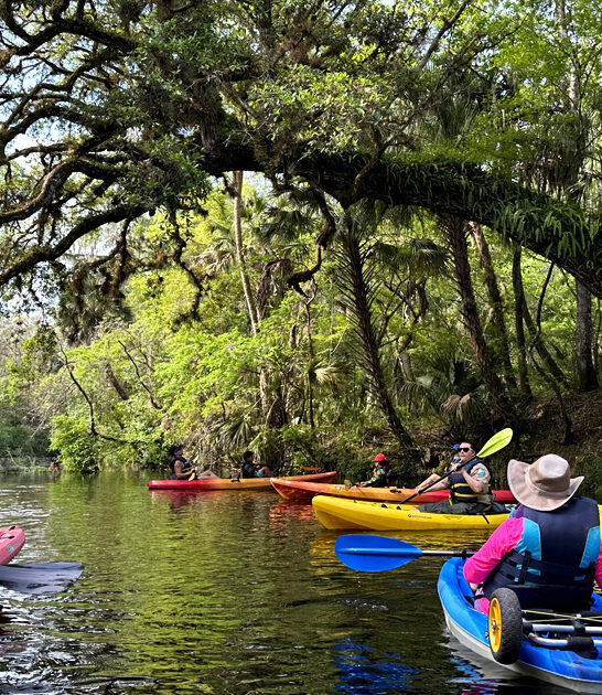 florida unheard park state ftr