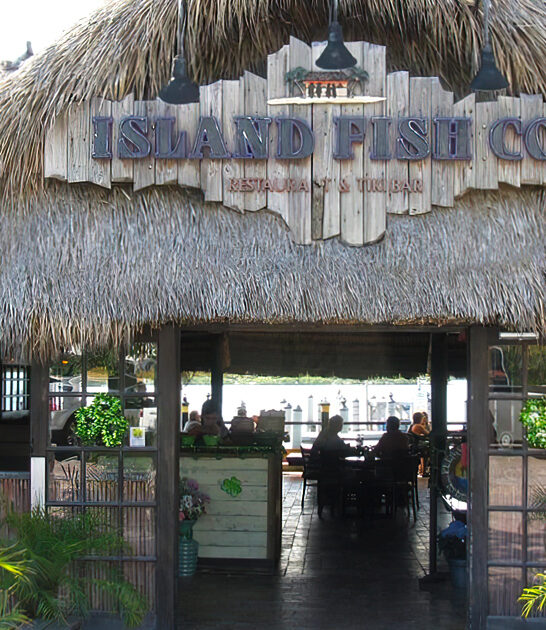 fresh shrimp cuisine florida ftr