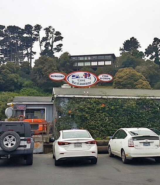 fried cheesecake rustic california ftr